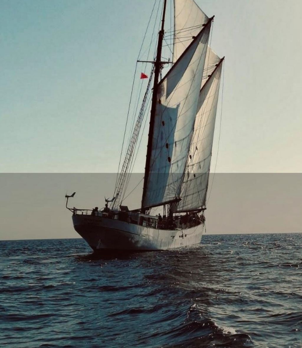SV Brigantes - Fairtransport