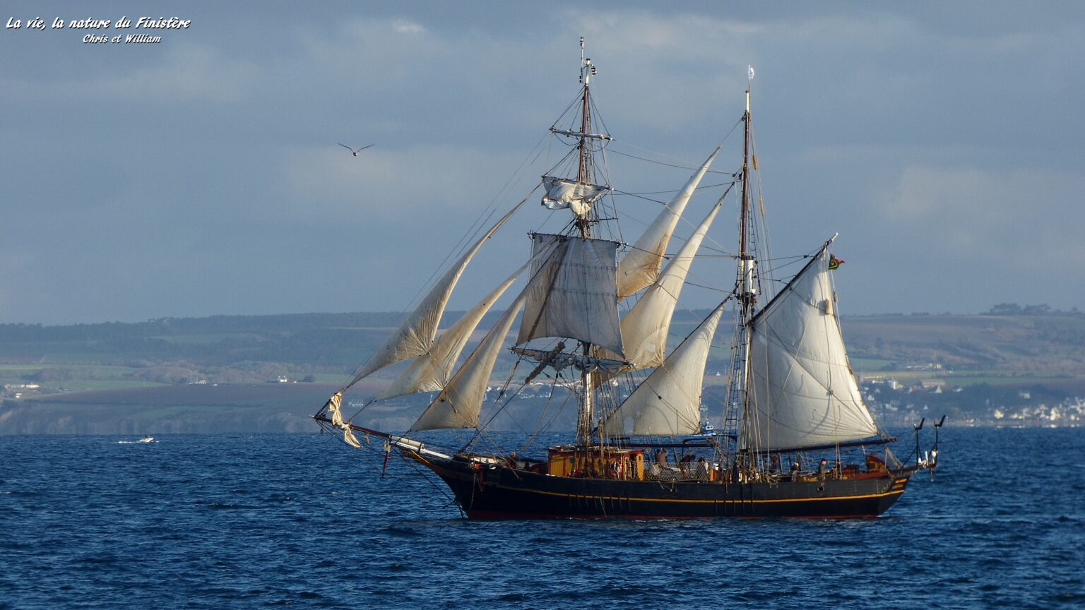 Fair transport - Cargo Under Sail